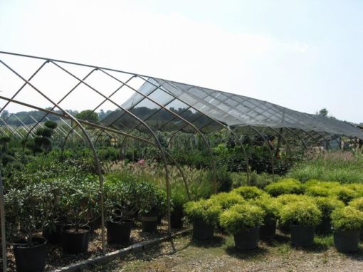 Garden Center & Field Nursery - Shreckhise Shrubbery